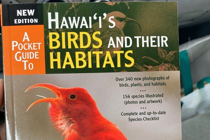 Maui Birdwatching at Maui Bird House - Value and Cost Analysis