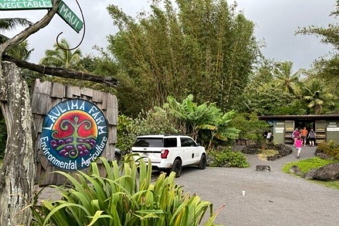 Maui by Storm: Epic Private Luxury Road to Hana Adventure Tour - Frequently Asked Questions