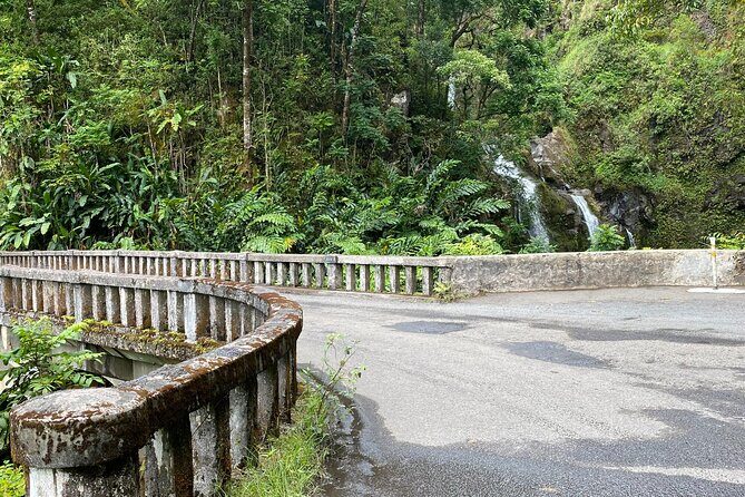 Maui by Storm: Epic Private Luxury Road to Hana Adventure Tour - Final Thoughts