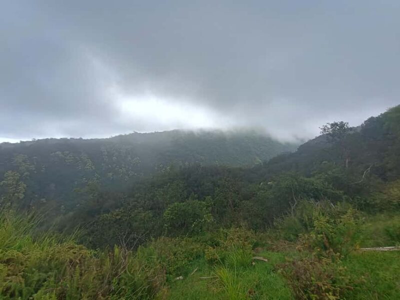 Maui: East Side Hiking Tour - An Intro to the Maui East Side Hiking Tour