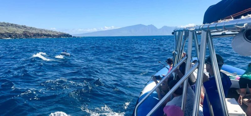 Maui: Eco-Raft Dolphin Watch Tour with Snacks - The Practical Side: Costs, Logistics, and Comfort