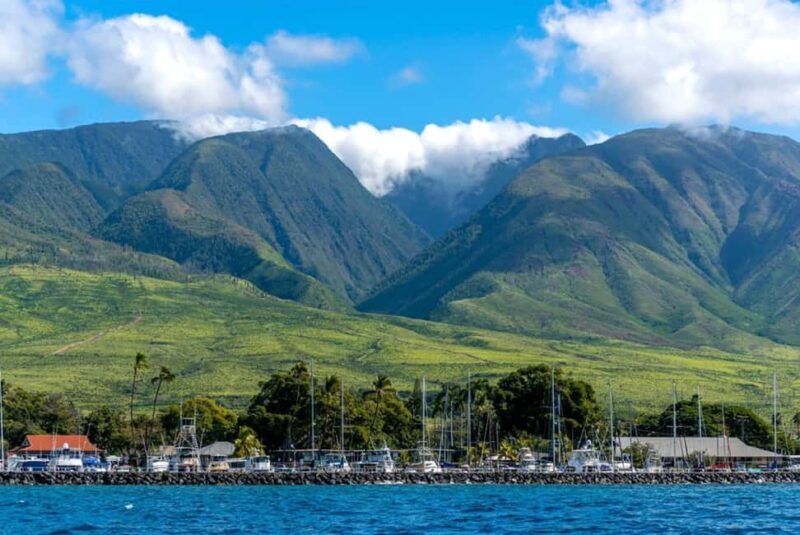 Maui: Eco-Raft Dolphin Watch Tour with Snacks - Authenticity and the Experience for Different Travelers