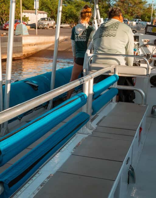 Maui: Eco-Raft Dolphin Watch Tour with Snacks - In The Sum Up: Who Should Consider This Tour?
