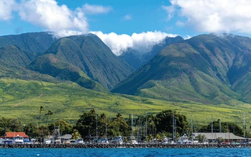 Maui Eco Raft: Turtle Snorkel + Whale Watch(Semi-Private) - The Sum Up