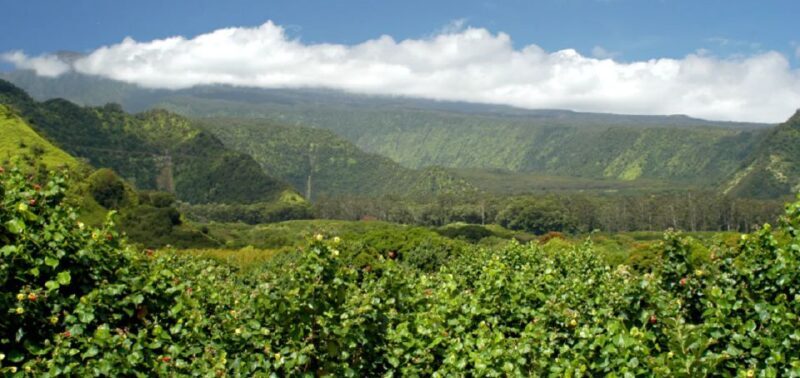 Maui: Full Day Hiking Tour with Lunch - Analyzing the Value
