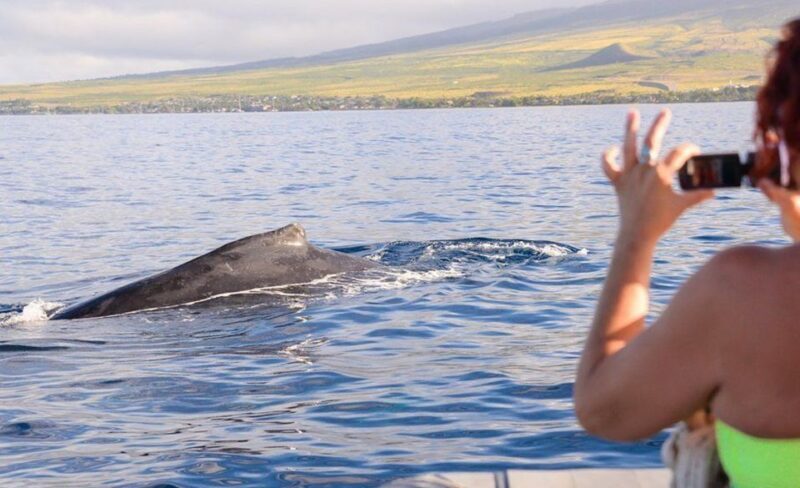 Maui: Guided Whale Watching Tour on Eco Raft - The Sum Up: Why You Should Consider This Tour