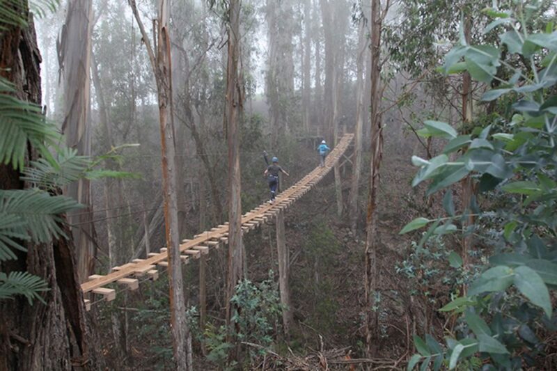 Maui: Haleakala 6-Line Zipline Adventure - A Deep Dive Into the Maui Haleakala Zipline Experience