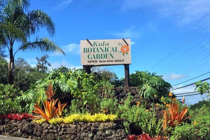 Maui Haleakala Volcano Summit Slingshot Tour from Kihei - Final Thoughts