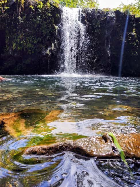 Maui: Halfway to Hana Black Sand Beach & Turtles Tour - Key Points