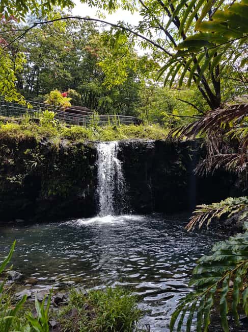 Maui: Halfway to Hana Black Sand Beach & Turtles Tour - An In-Depth Look at the Tour Experience