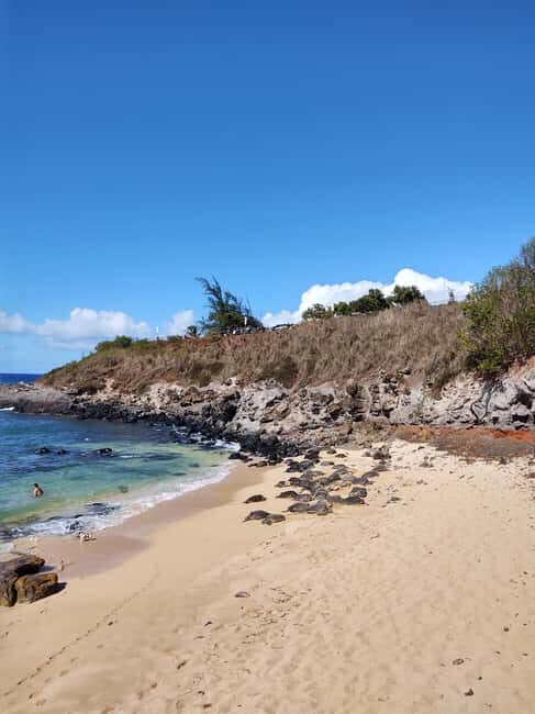 Maui: Halfway to Hana Black Sand Beach & Turtles Tour - Final Thoughts