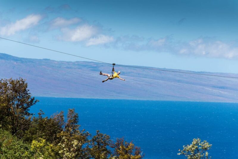 Maui: Ka'anapali 8 Line Zipline Adventure - Key Points