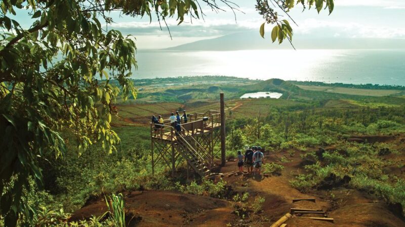 Maui: Ka'anapali 8 Line Zipline Adventure - Scenic Highlights: What Makes This Tour Special?
