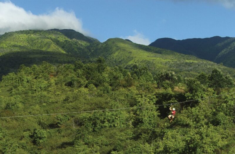 Maui: Ka'anapali 8 Line Zipline Adventure - Who Is This Tour Best For?