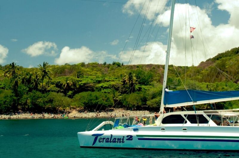 Maui: Kaanapali Beach 4-hour Snorkel w/ BBQ Lunch & Open Bar - The Group Size and Comfort