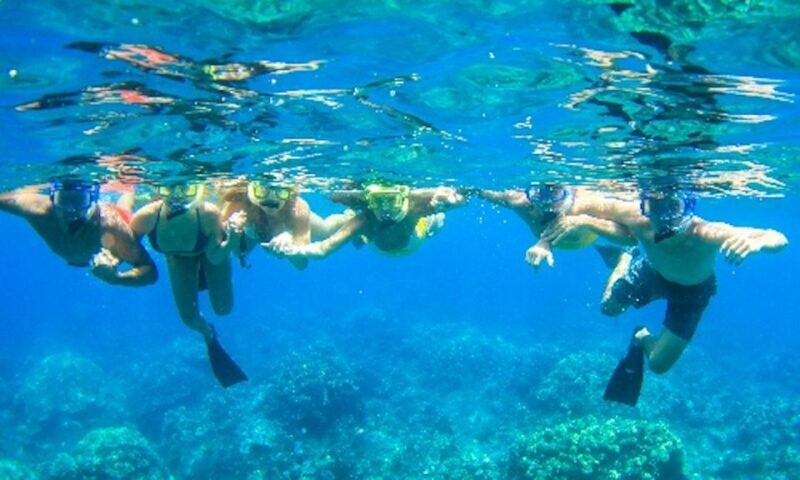 Maui: Kaanapali Beach 5-hr Snorkel w/ BBQ Lunch & Open Bar - Dive into Maui’s Underwater Beauty with a 5-Hour Snorkel Adventure
