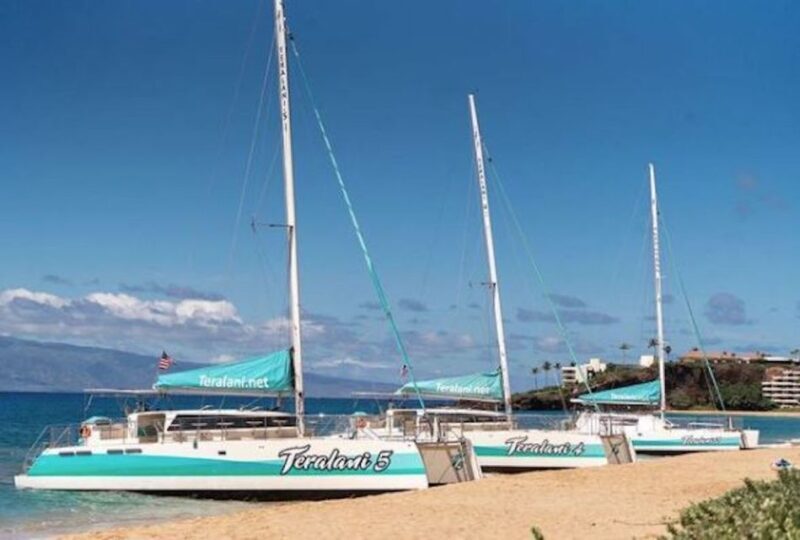 Maui: Kaanapali Dolphin Watching Boat Trip with Lunch - The Itinerary and What You Can Expect
