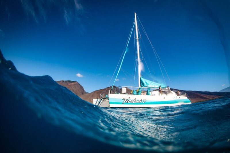 Maui: Kaanapali Dolphin Watching Boat Trip with Lunch - Price and Value