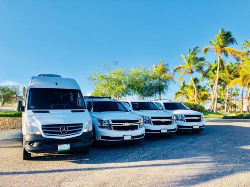 Maui Kahului Airport (OGG): Private Transfer to Maui hotels - Who Will Benefit Most?