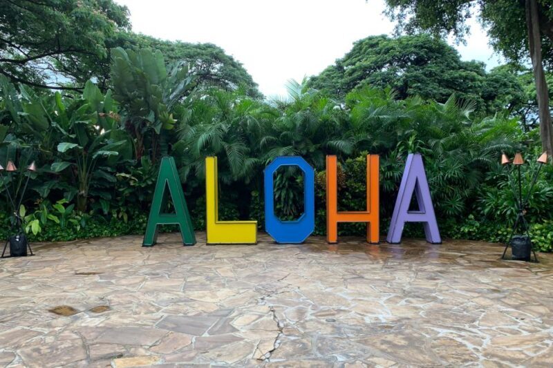 Maui: Kahului Airport (OGG) Traditional Lei Greeting - The Breakdown: What to Expect at Each Step