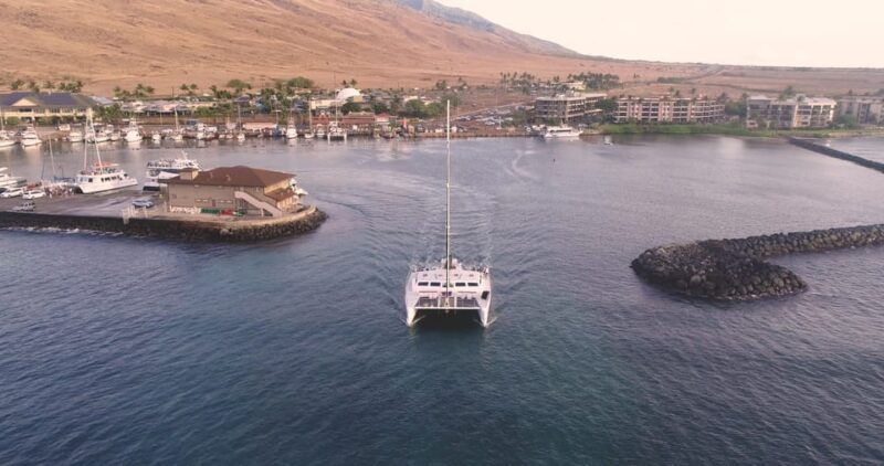 Maui: Luxury Catamaran Alii Kai Royal Sunset Dinner Cruise - Authentic Maui Experience
