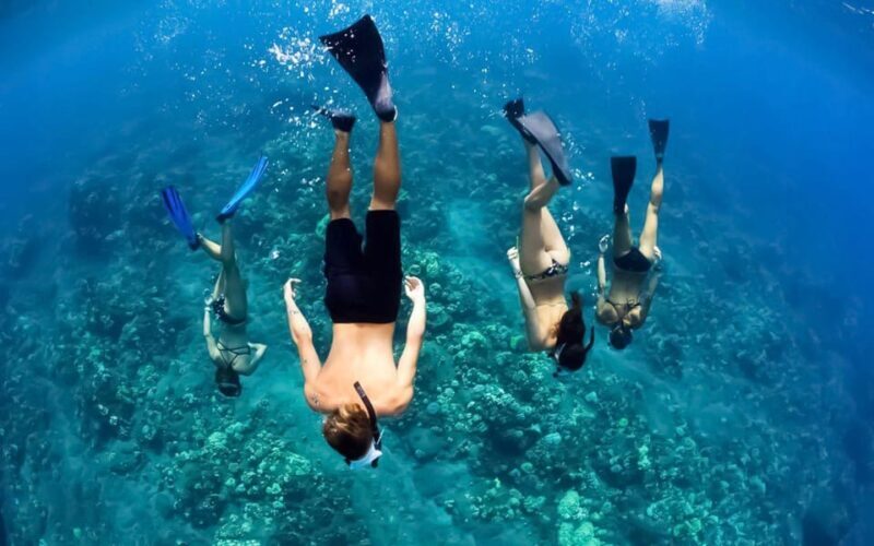 Maui: Luxury Catamaran Turtles & Tacos Snorkel - The Itinerary: What You Can Expect
