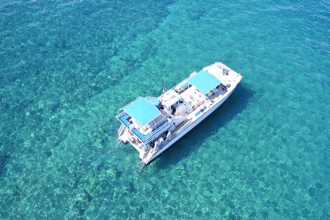 Maui Magic Adventure Snorkel: Molokini Crater and Turtle Stop - Final Thoughts