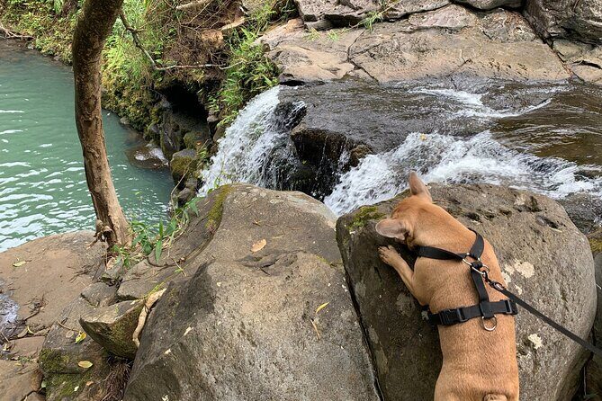 Maui Magical Waterfall and Jungle Tour: Road to Hana - Itinerary Breakdown: What to Expect