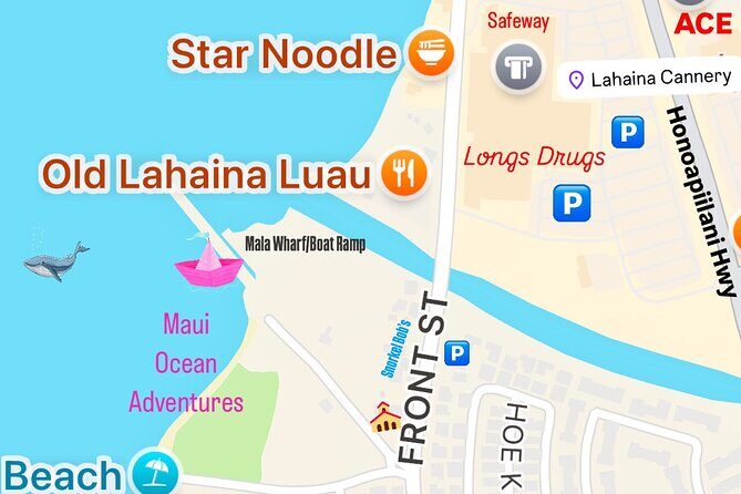 Maui Mid Day Magic Whale Watch - Key Points