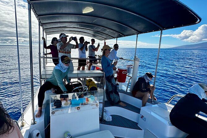 Maui Mid Day Magic Whale Watch - The Overall Value