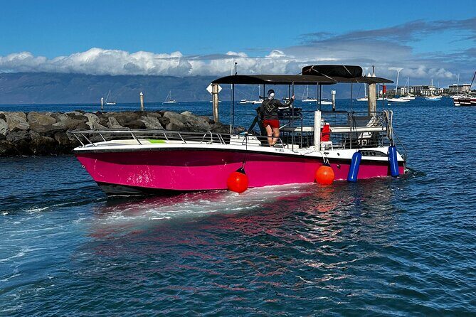 Maui Mid Day Magic Whale Watch - In Summary
