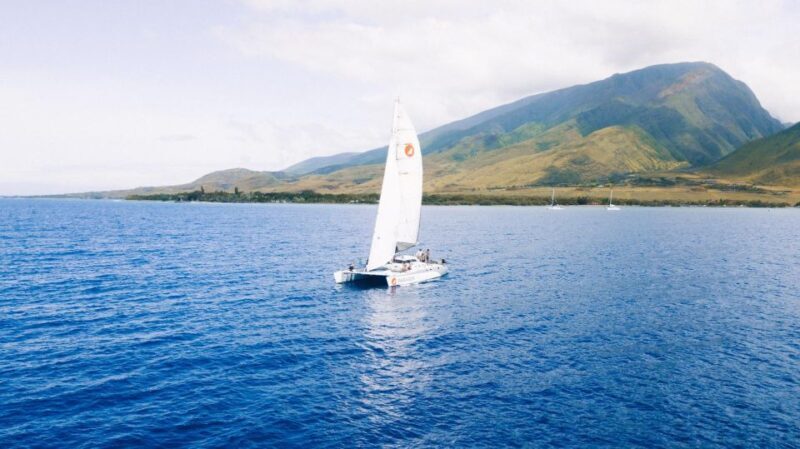 Maui: Midday Sail with the Whales Malaea Harbor - Beverages and Snacks — A Taste of Maui