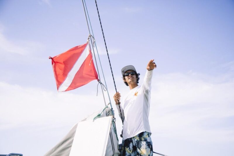 Maui: Midday Sail with the Whales Malaea Harbor - Price and Value — Is It Worth It?