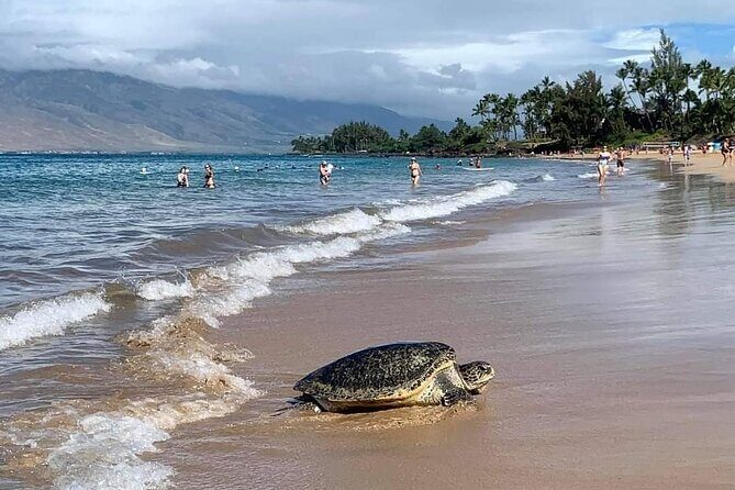 Maui Mini Retreat - Key Points