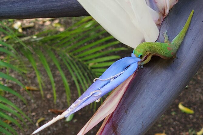 Maui Mini Retreat - Final Thoughts