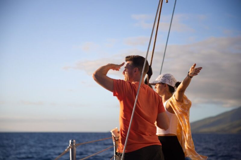 Maui: Morning Sail with the Whales Ma'alaea - Introducing the Maui: Morning Sail with the Whales Maalaea Experience