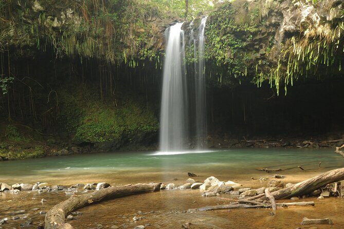 Maui part-way to Hana North Shore sightseeing & Photography Tour! - Authentic Insights from Past Participants