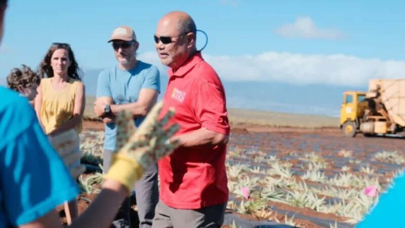 Maui: Pineapple Planting Experience - The Value and Experience: Breaking Down the Details