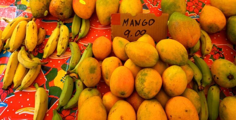 Maui: Private Guided Halfway to Hana Tour - Key Points