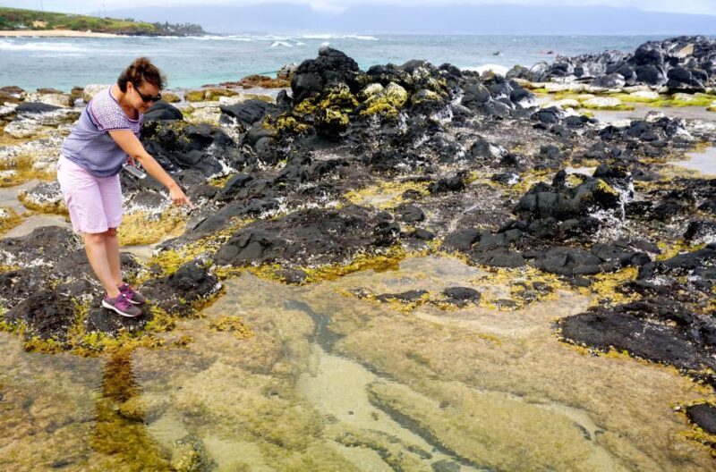 Maui: Private Guided Halfway to Hana Tour - Waterfalls and Streams: A Refreshing Detour