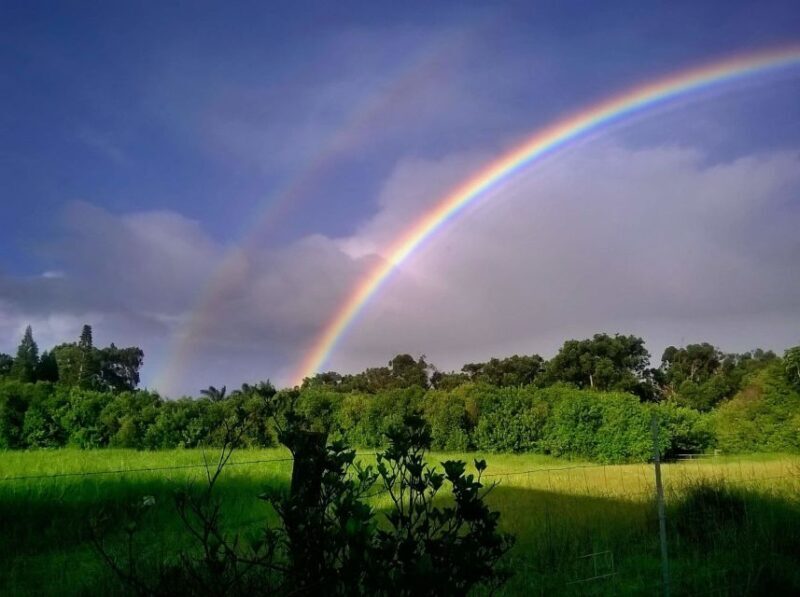 Maui: Private Guided Round-Trip Excursion to Hana - Key Points