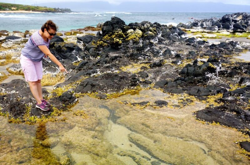 Maui: Private Guided Round-Trip Excursion to Hana - What to Expect on the Road to Hana