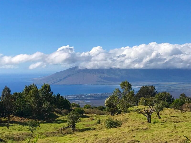 Maui: Private Island Tour with Meals & Snorkeling - What Reviewers Say