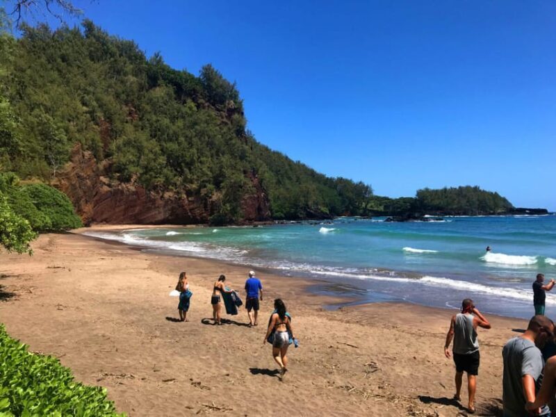 Maui: Private Island Tour with Meals & Snorkeling - Who Will Love This Tour?