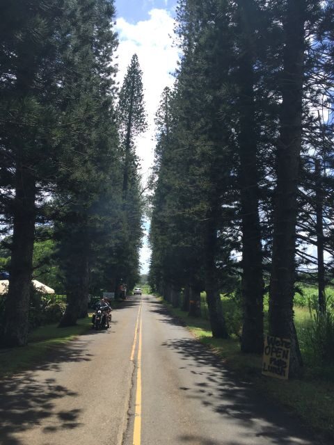 Maui : Private : Road to Hana Day Trip : Just For Your Group - Authentic Experiences and Highlights from Past Travelers