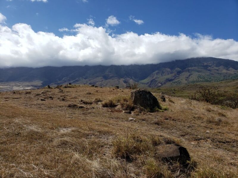 Maui : Private : Road to Hana Day Trip : Just For Your Group - The Sum Up
