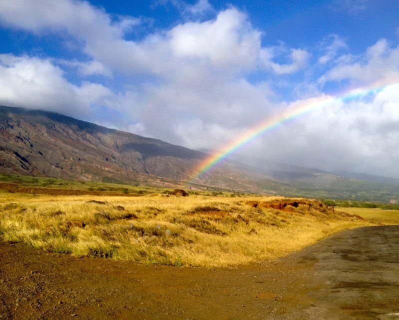 Maui: Private Road to Hana Full Loop Guided Tour - Why This Tour Stands Out