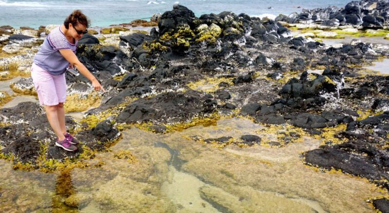 Maui: Private Road to Hana Full Loop Guided Tour - Final Thoughts