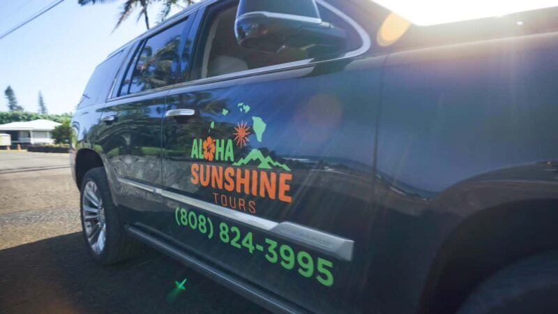 Maui: Private Road to Hana Rainforest and Waterfall Tour - Key Points