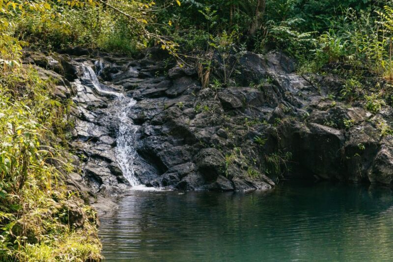 Maui: Rainforest Waterfalls Guided Hike with Picnic Lunch - FAQs